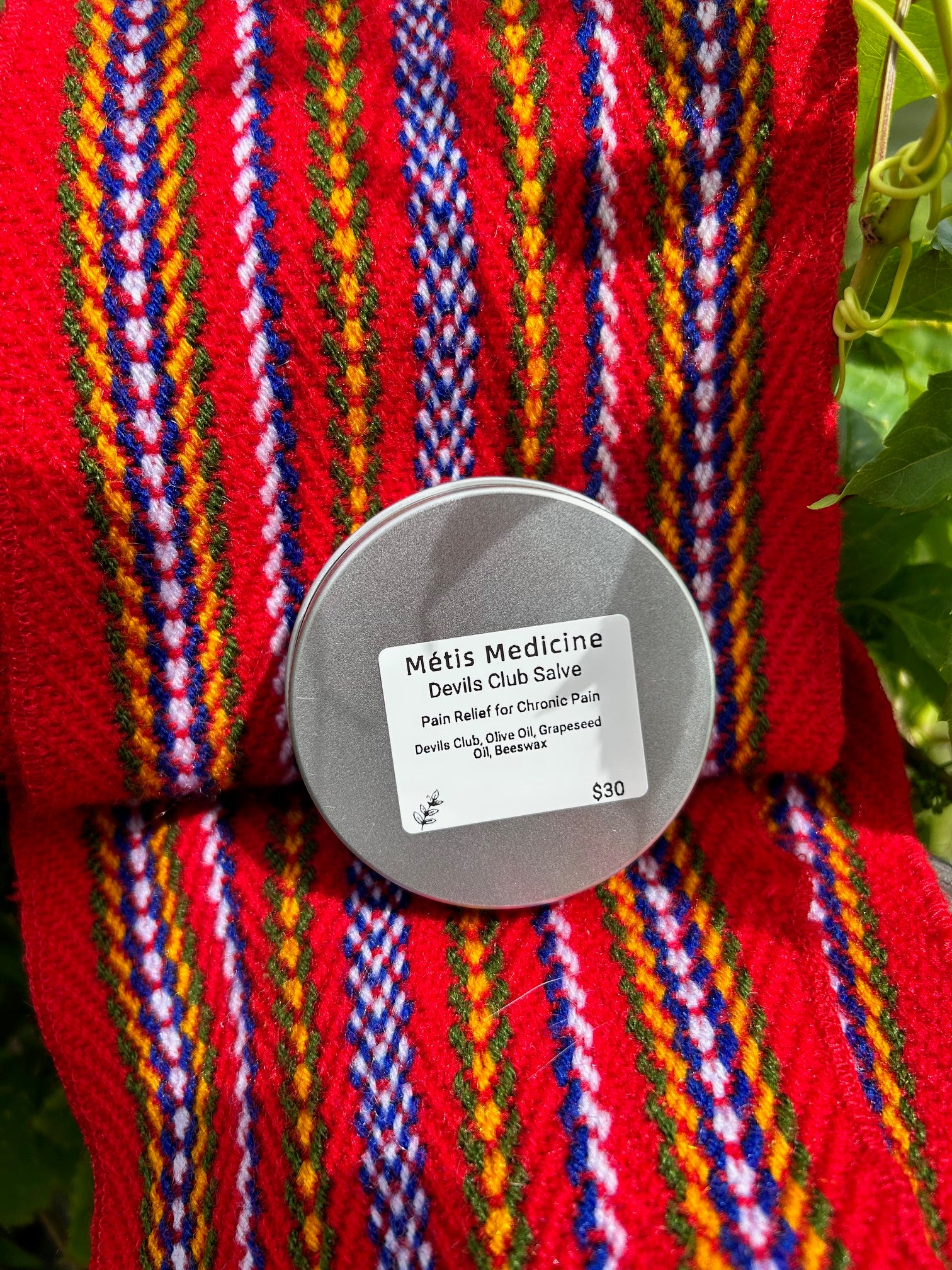 Devils Club Salve – Métis Medicine